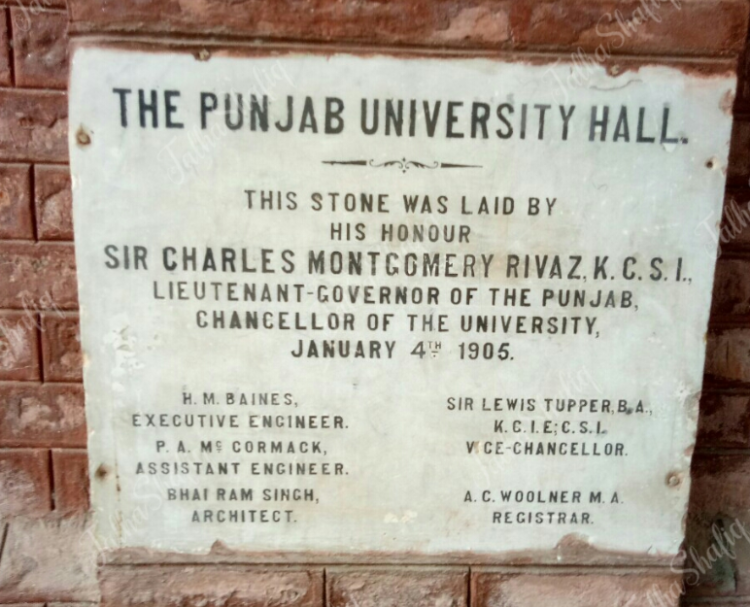 جامعہ پنجاب کا الفریڈ وولنر - آوازہ ڈیسک